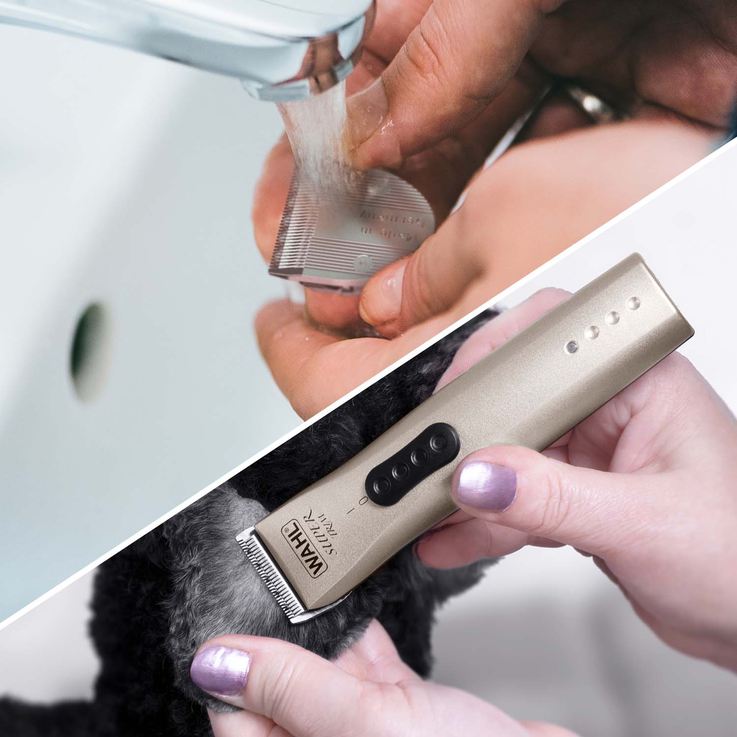 Cordless and Powerful - Super Trim Dog Trimmer - Wahl UK