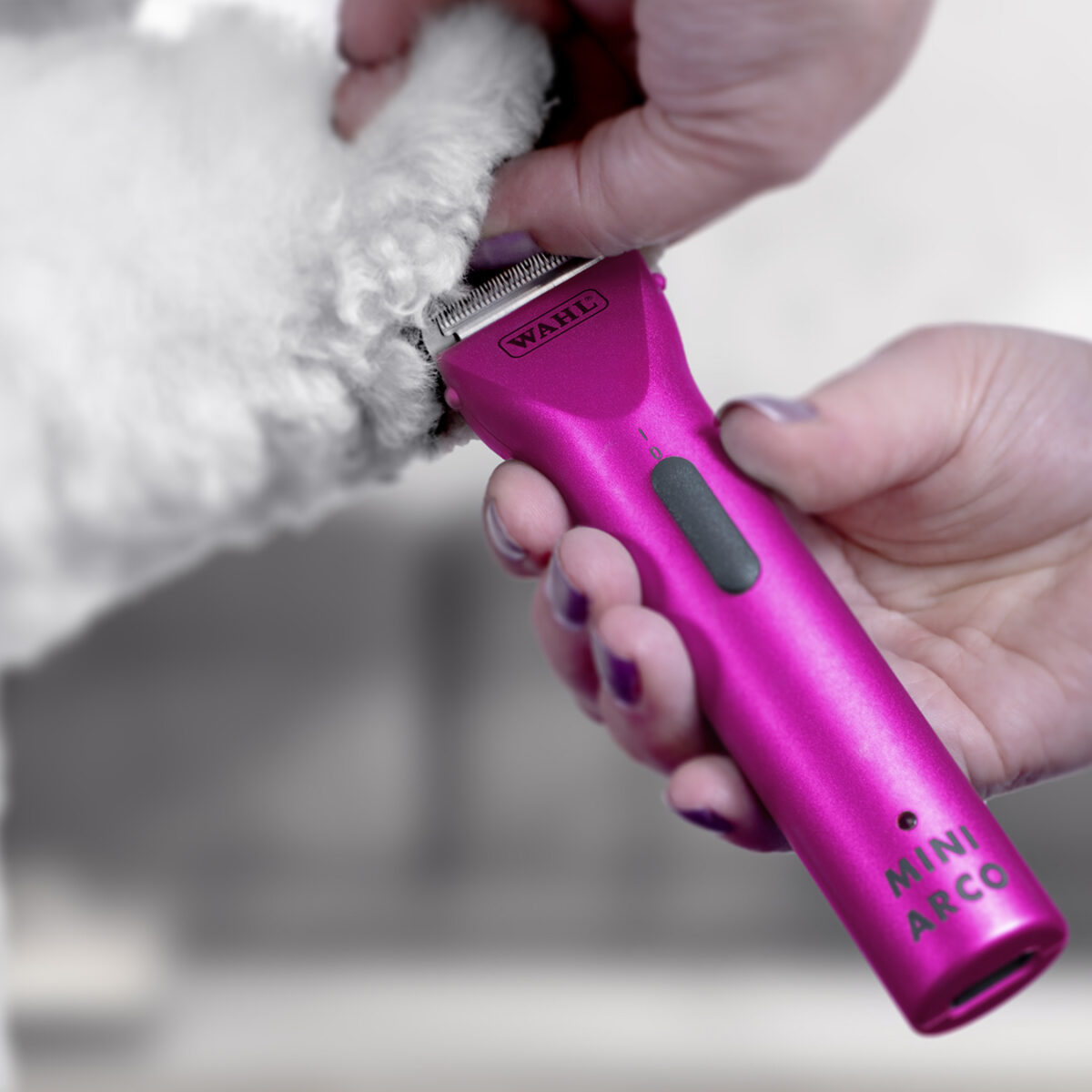 Wahl Mini Arco Cord/Cordless Trimmer | Professional Groomers Tools