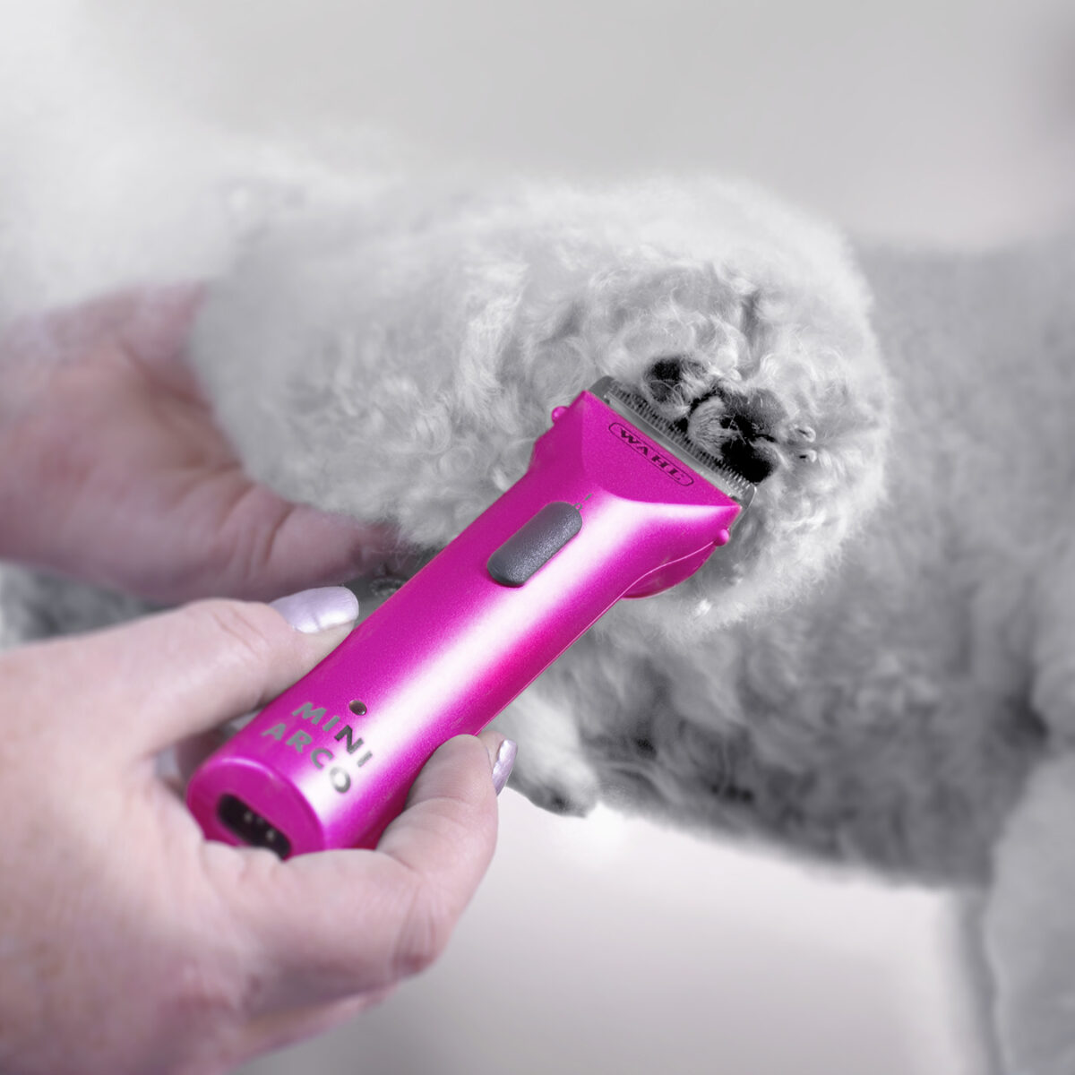 Wahl Mini Arco Cord/Cordless Trimmer | Professional Groomers Tools