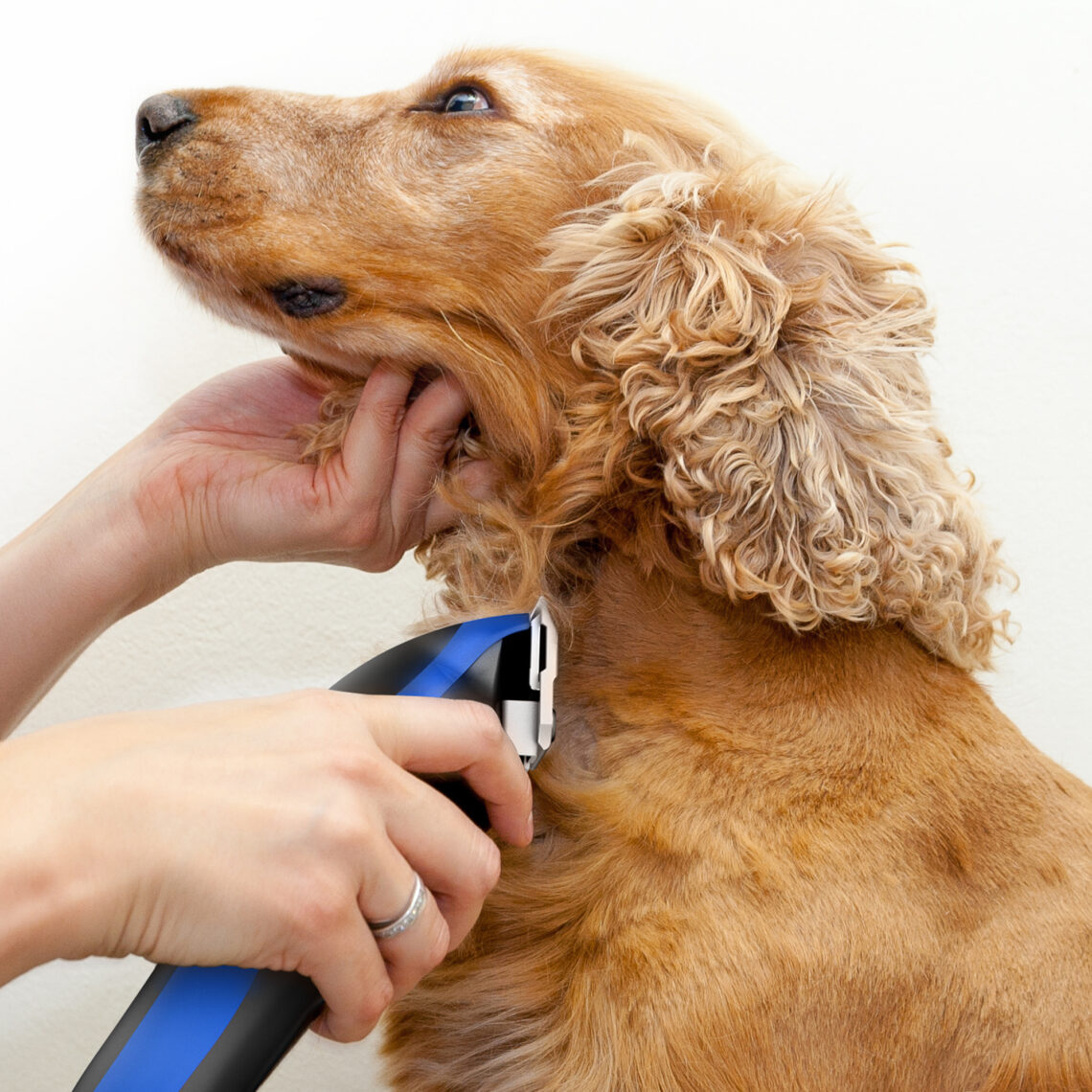 Wahl U-Clip Dog Clipper Kit | Dog Grooming | Pets At Home Grooming