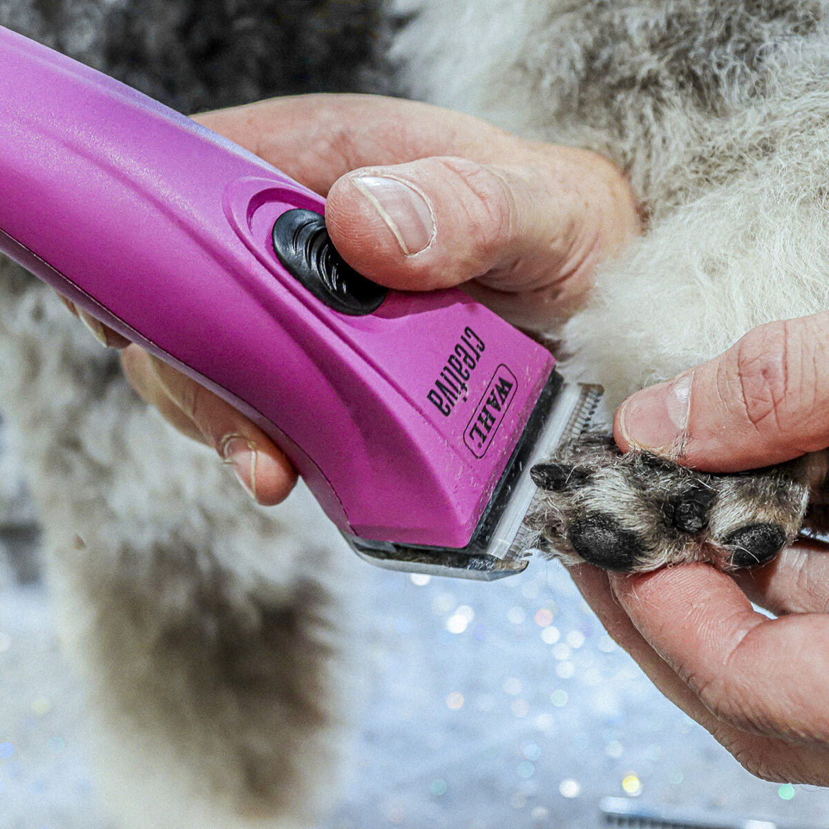 Creativa Cordless Animal Clipper | Pro Grooming | Wahl UK