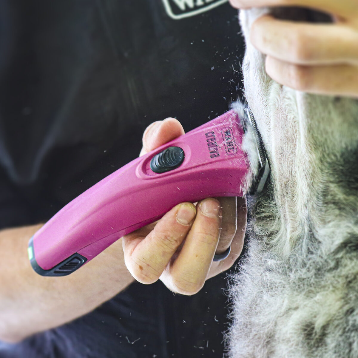 Creativa Cordless Animal Clipper | Pro Grooming | Wahl UK