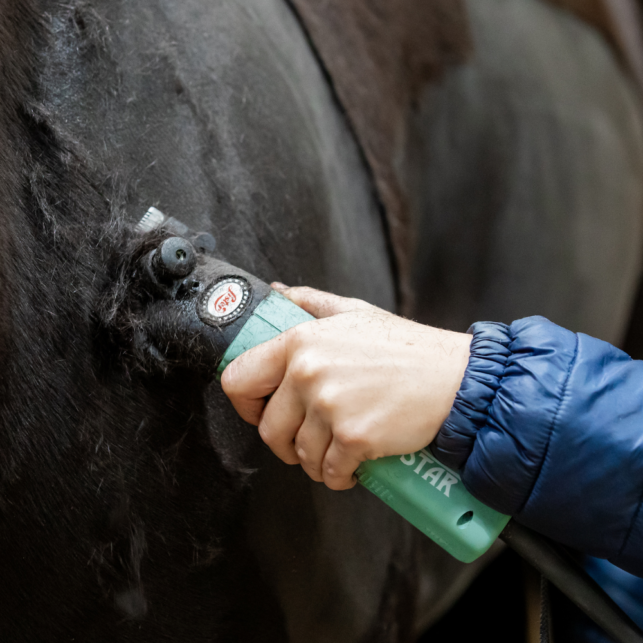 Beard Trimmer Lister Liberty Lithium Mains Horse Clipper, Professional ...