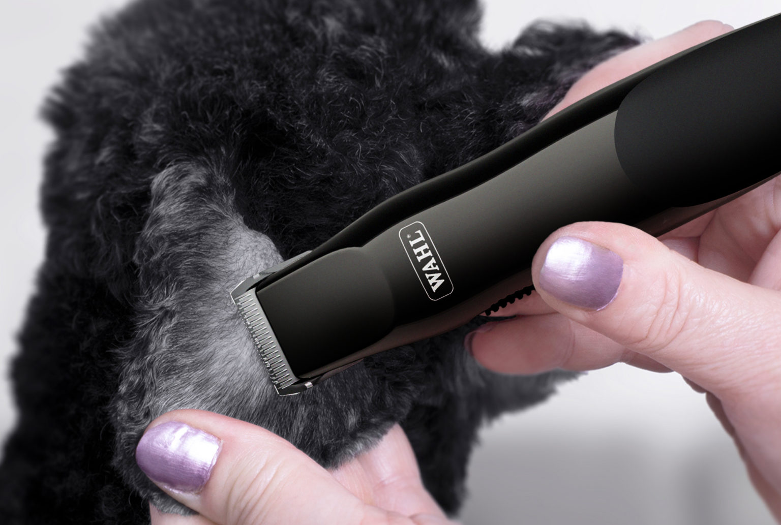 Animal Clippers - Home Pet Grooming Tools - Wahl UK