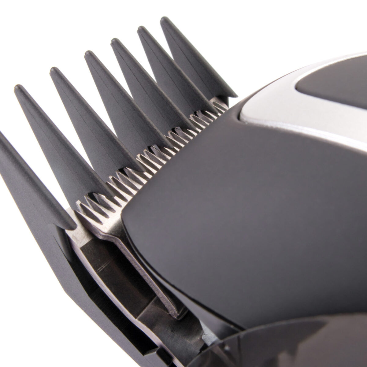 A Guide to Clipper Combs for Dog Grooming - Wahl UK