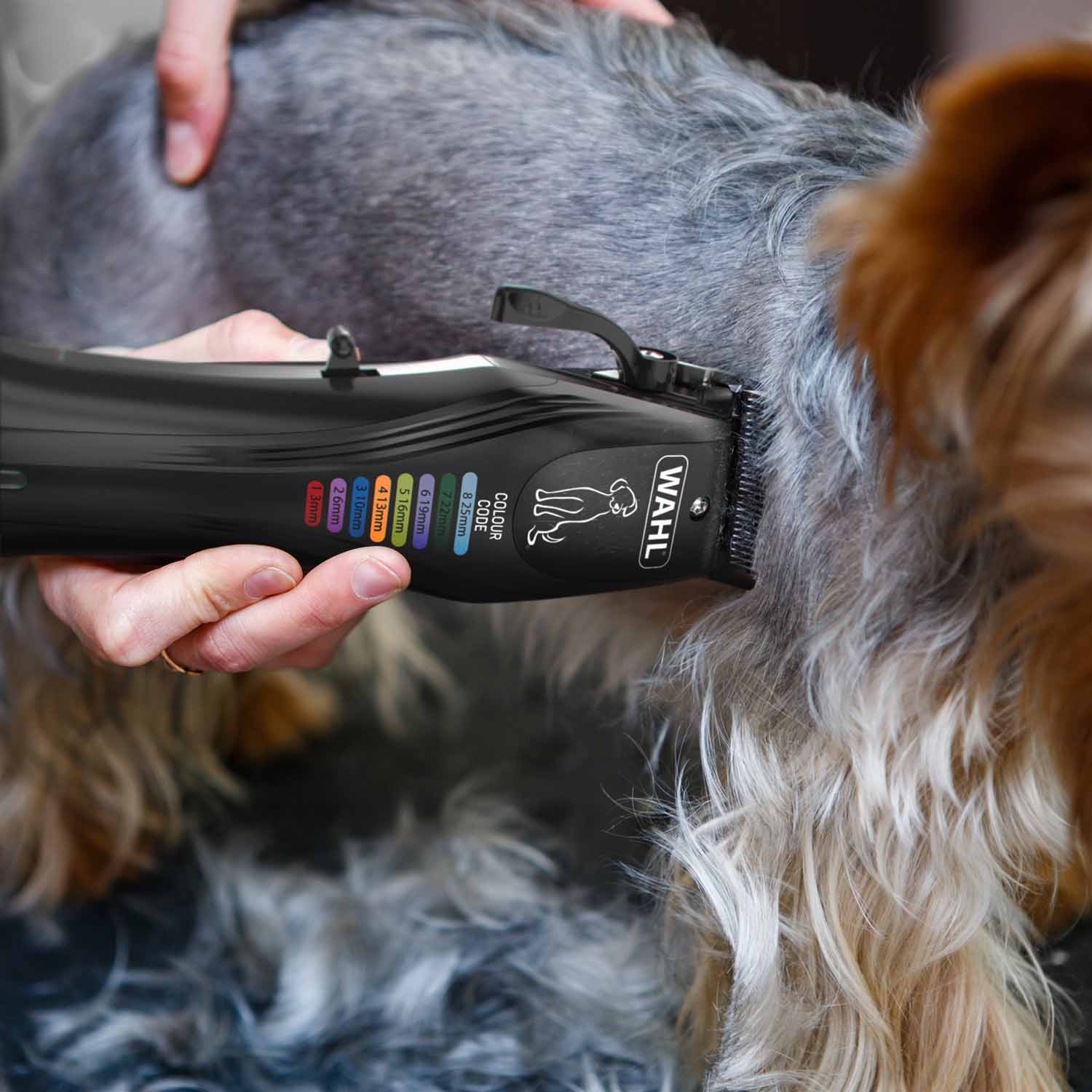 Colour Pro Pet Clipper | Safe Dog Clipping | Grooming Pets at Home