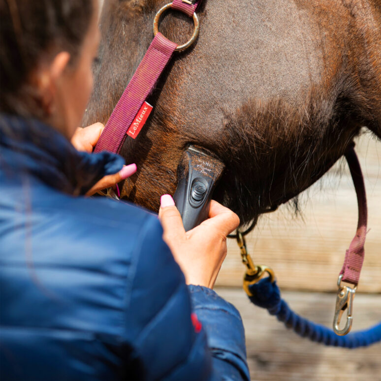 Adelar Pro Horse Trimmer | Wahl UK