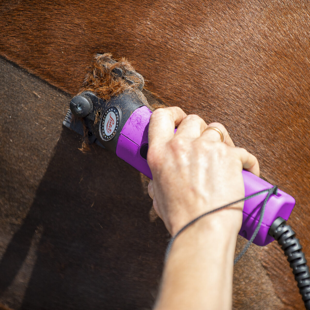Wahl Lister Star Clipper | Equine Clipping | Horse Grooming Tools