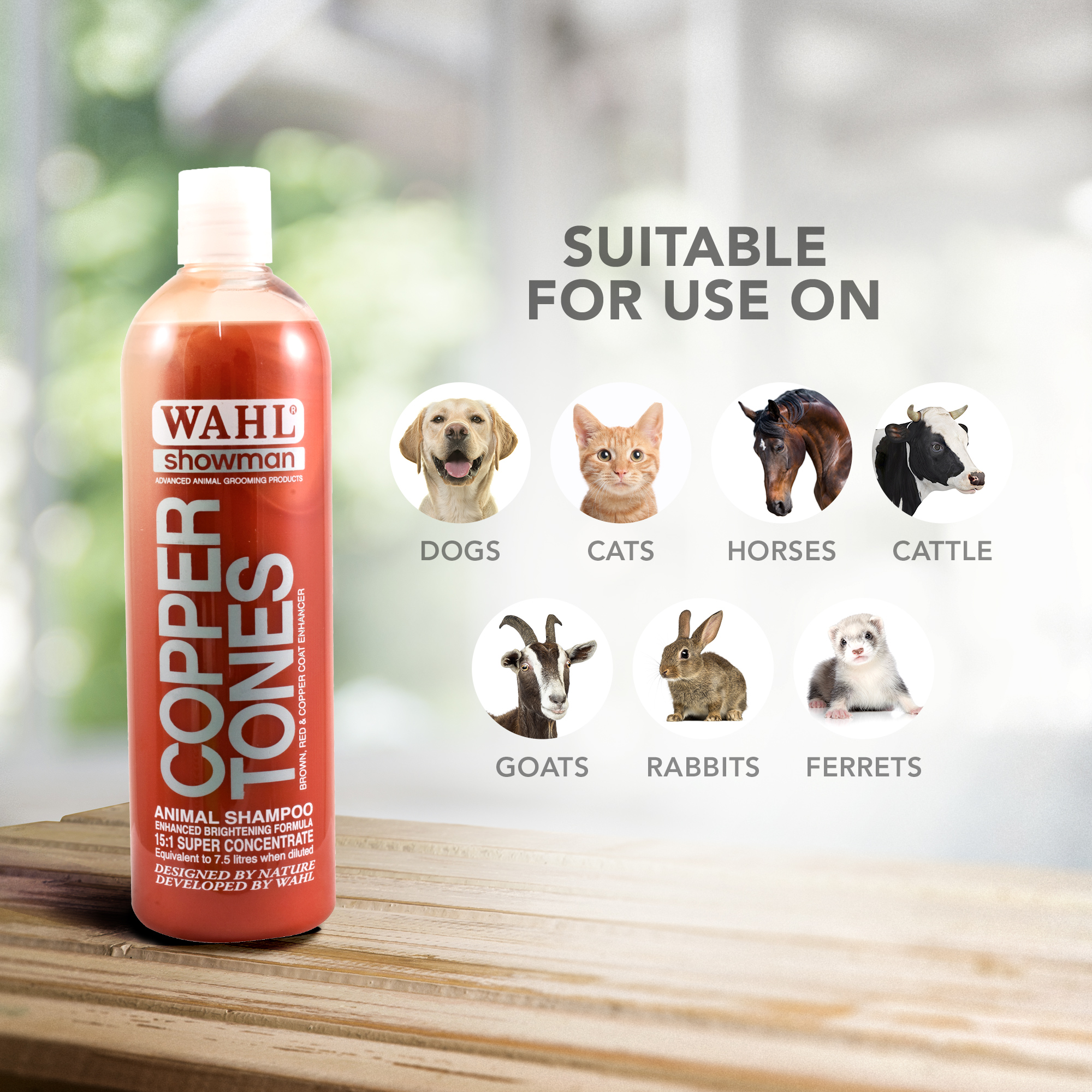 Wahl Copper Tones Shampoo | Animal Professional Grooming Products