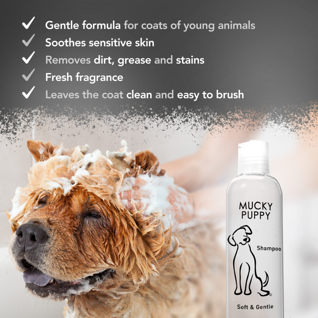 Wahl Mucky Puppy Shampoo | Pet Grooming | Pets At Home